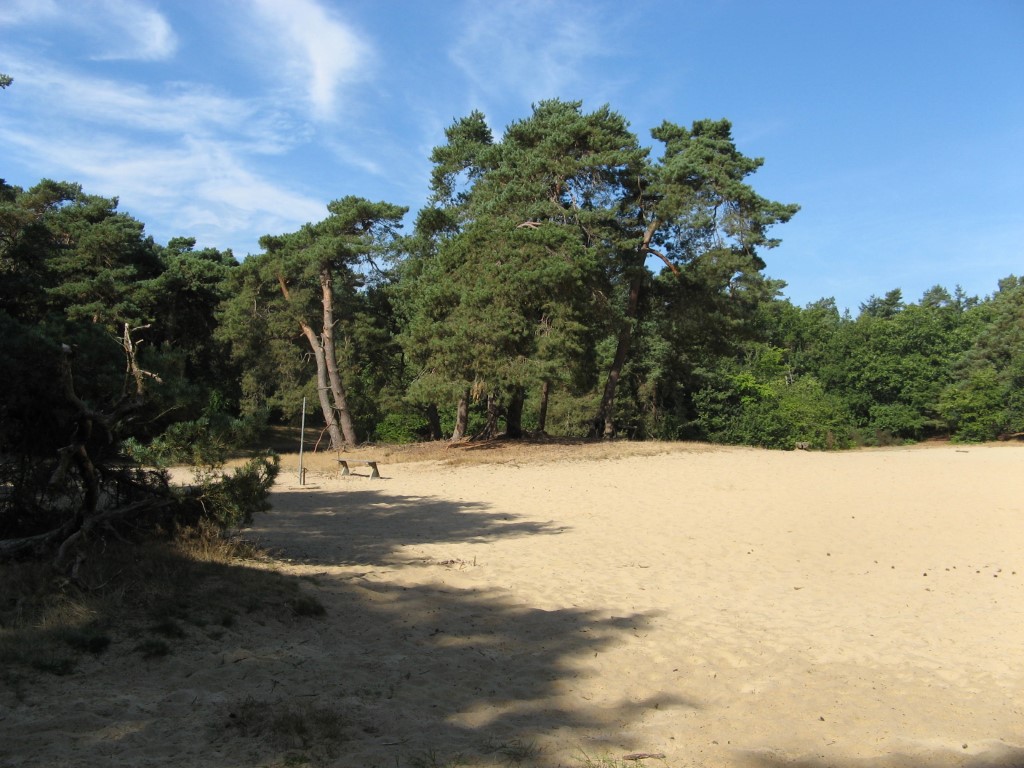Lange Afstand Wandelen