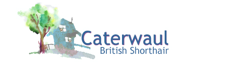 Caterwaul Home
